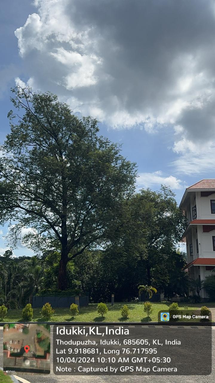 Green Campus | Al-Azhar Law College